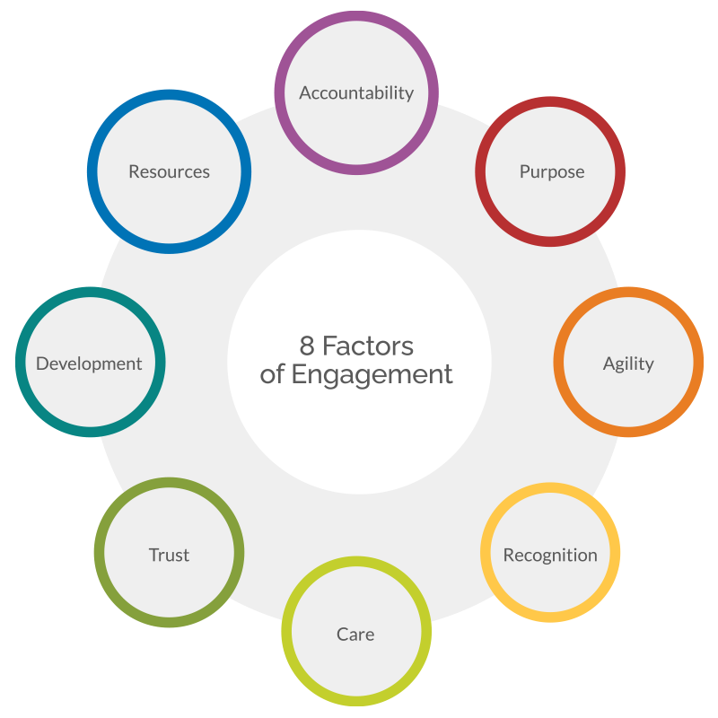 8 Factors of Engagement Authorized User Training